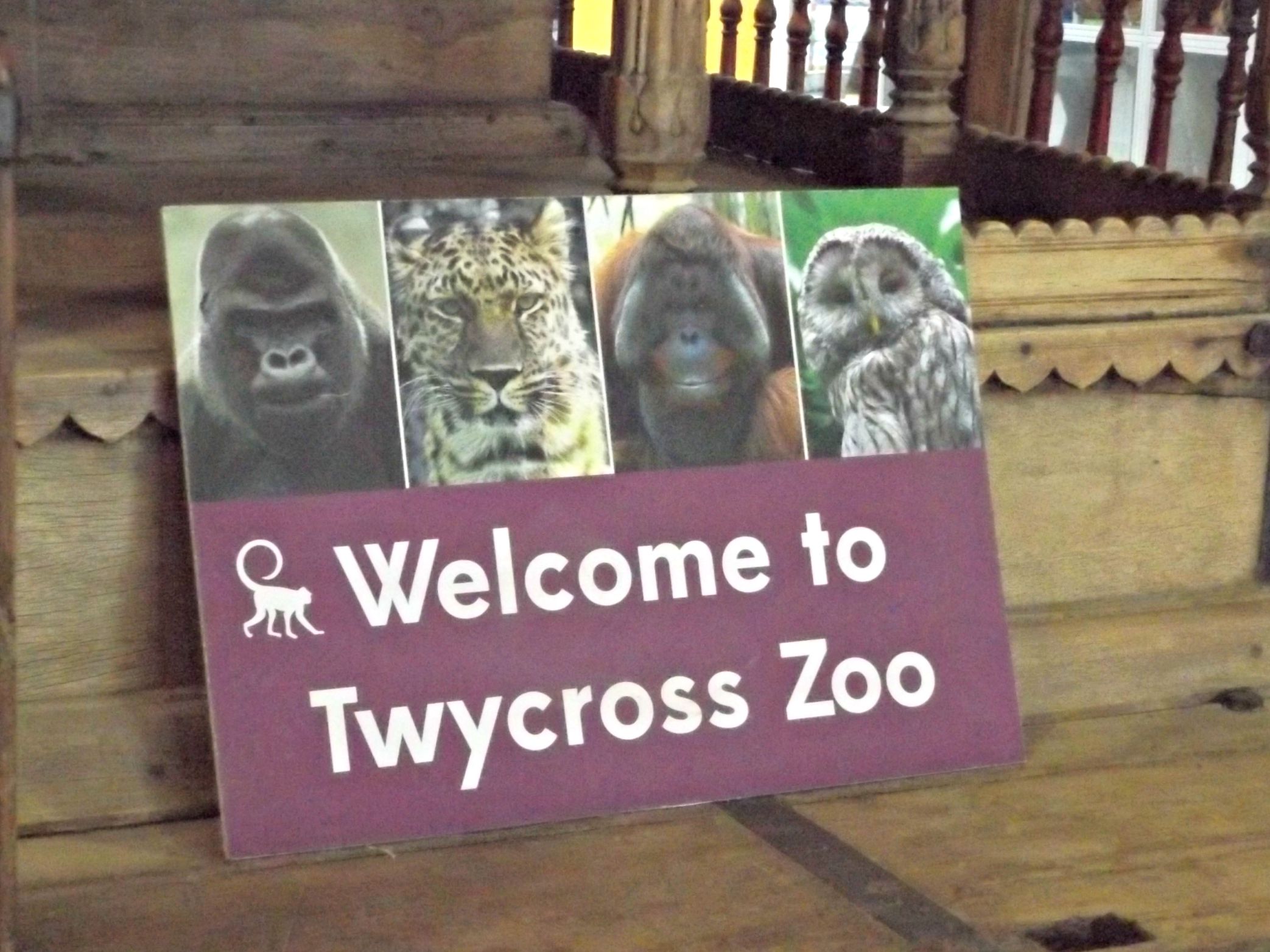 Twycross Zoo