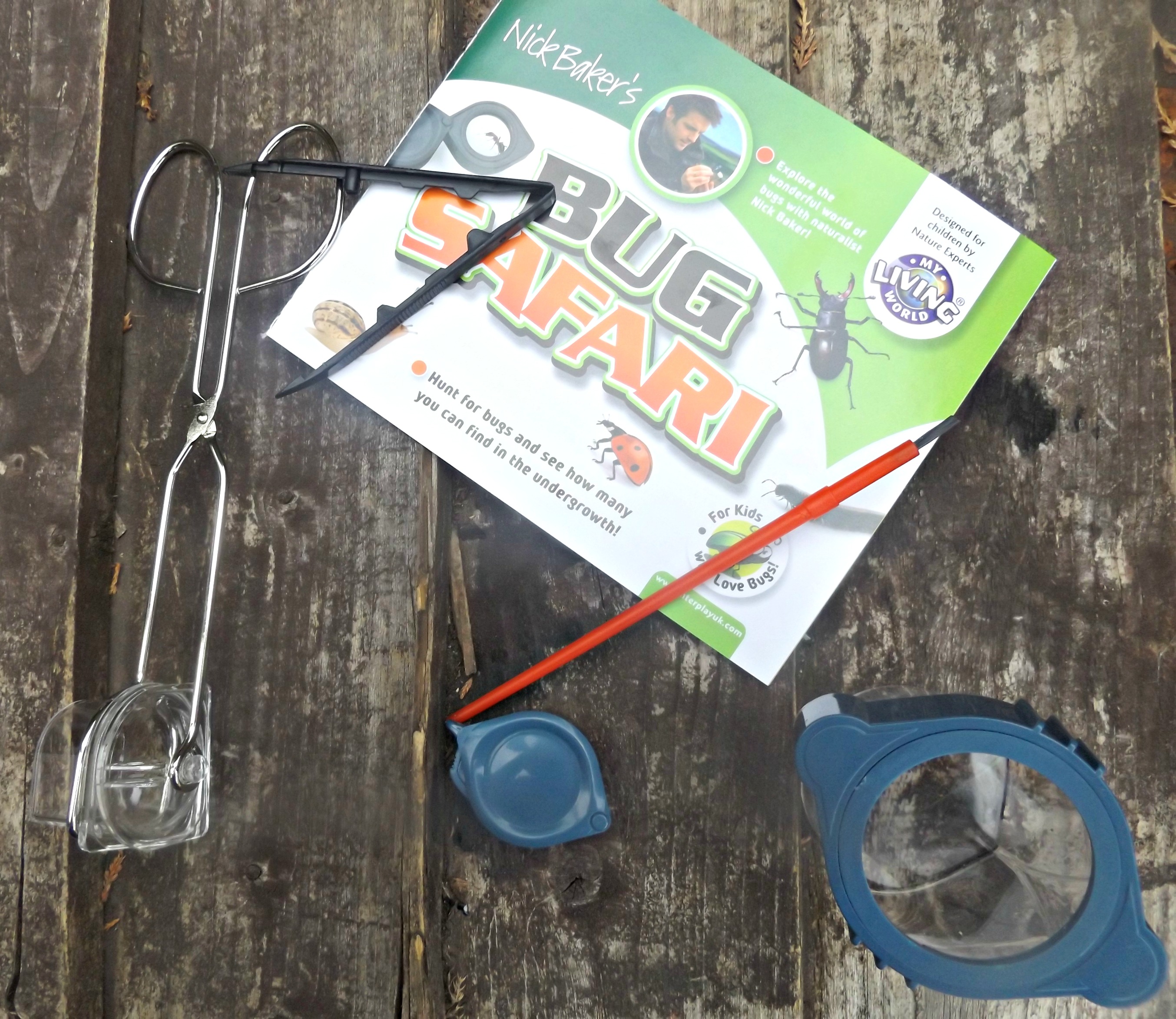 Interplay Bug Safari