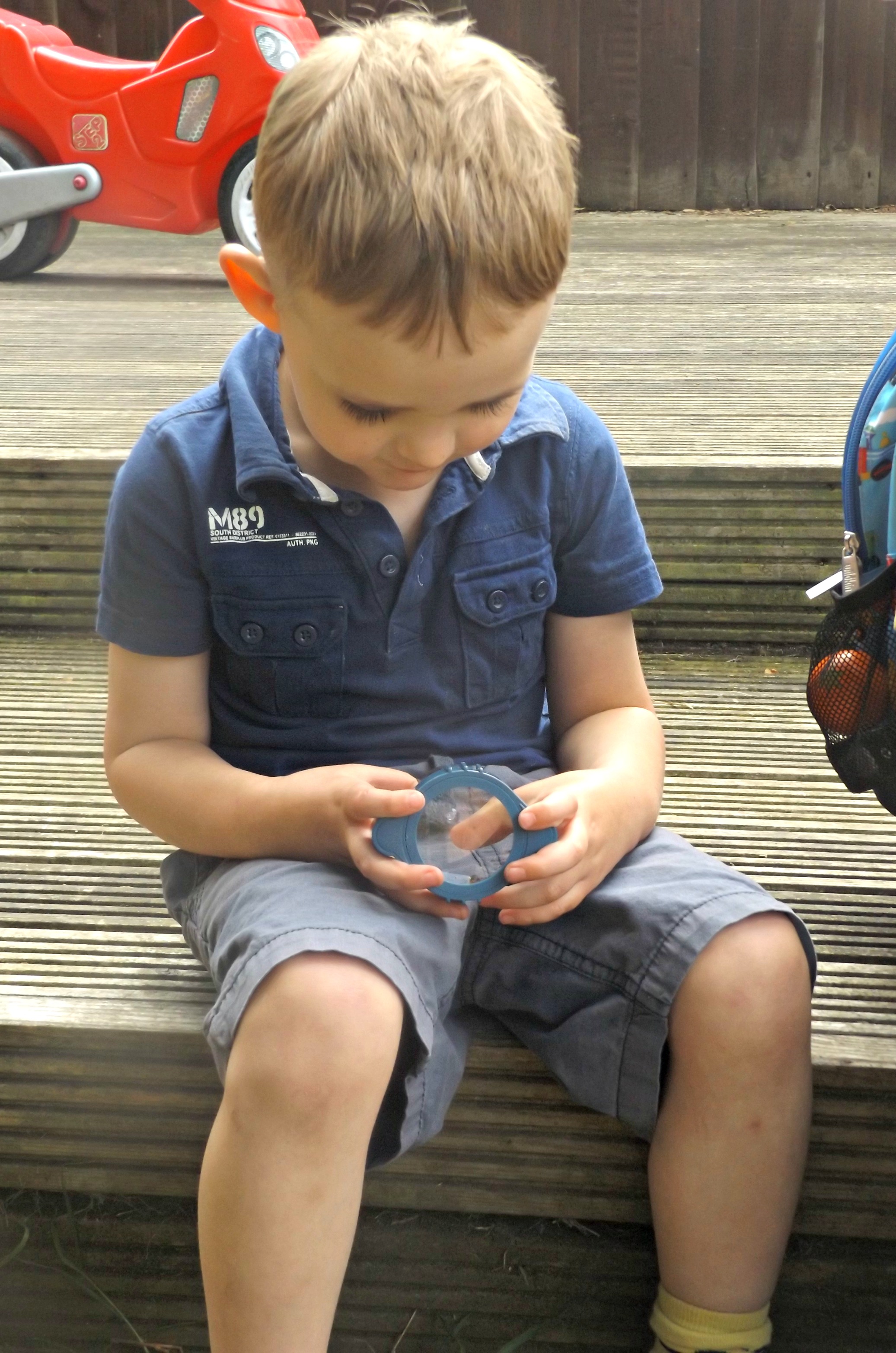 Interplay Bug Safari