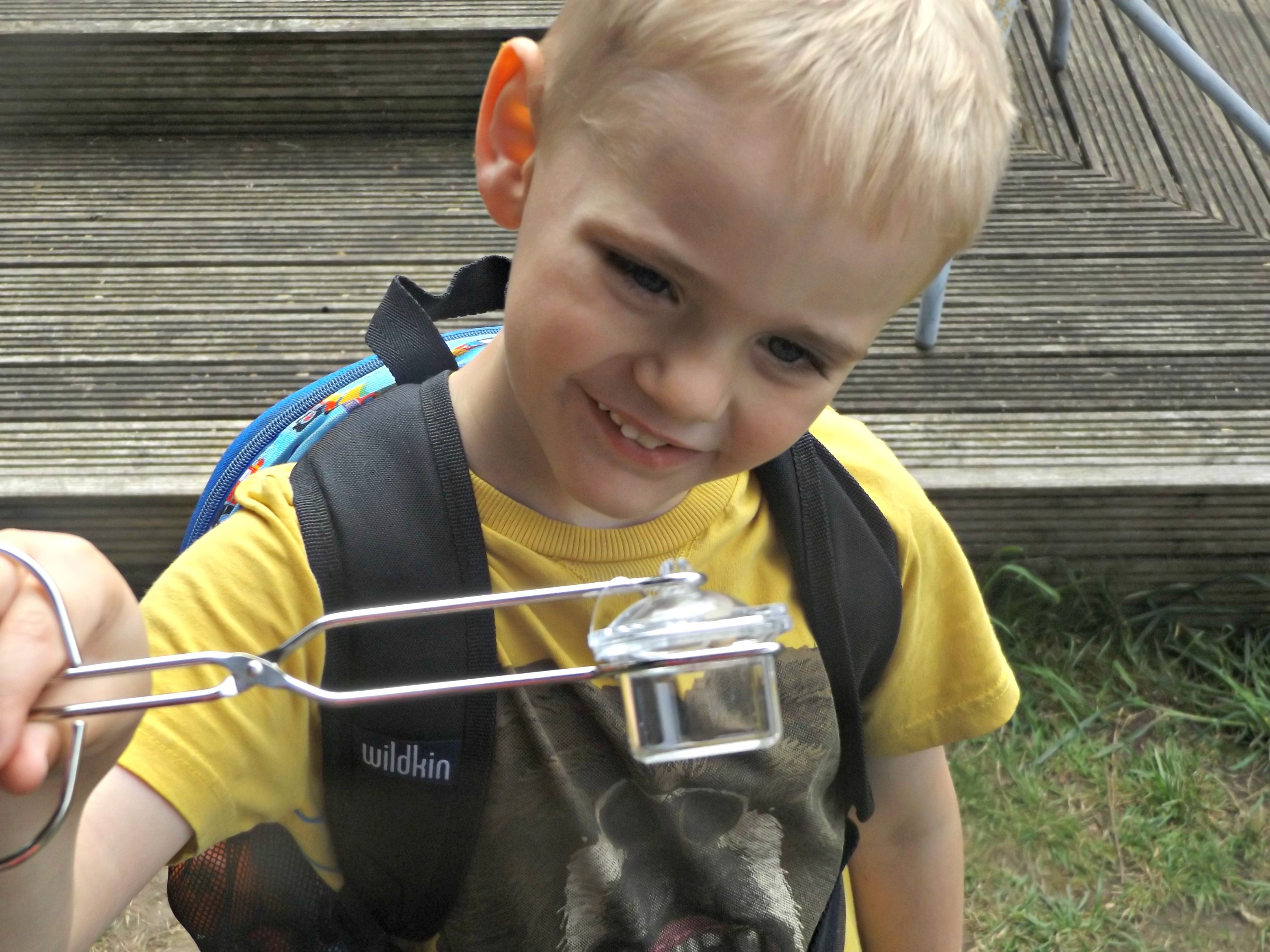 Interplay Bug Safari